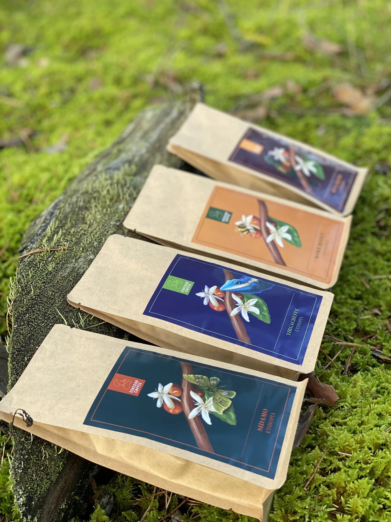 Coffee Set | Eskedar Coffee - Freshly roasted Ethiopian coffee. Grown ...